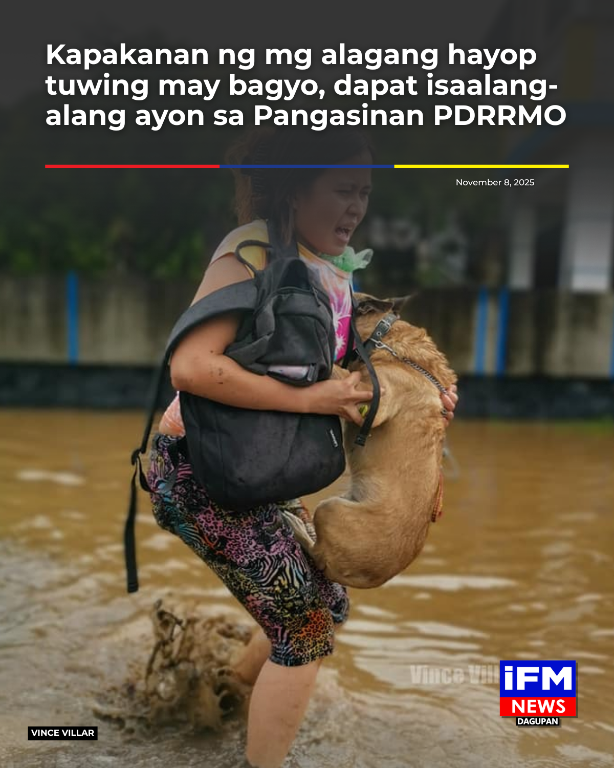 KAPAKANAN NG MGA ALAGANG HAYOP TUWING MAY BAGYO, DAPAT ISAALANG-ALANG ...