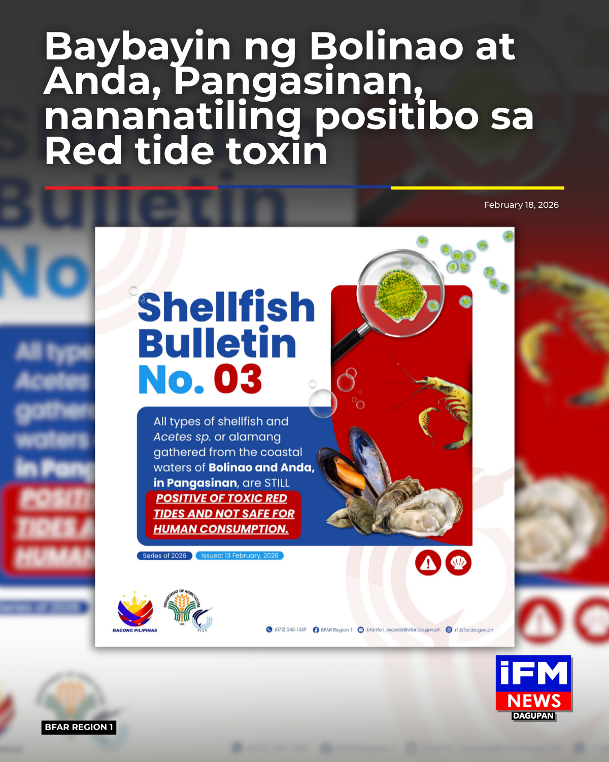 BAYBAYIN NG BOLINAO AT ANDA, PANGASINAN, NANANATILING POSITIBO SA RED ...